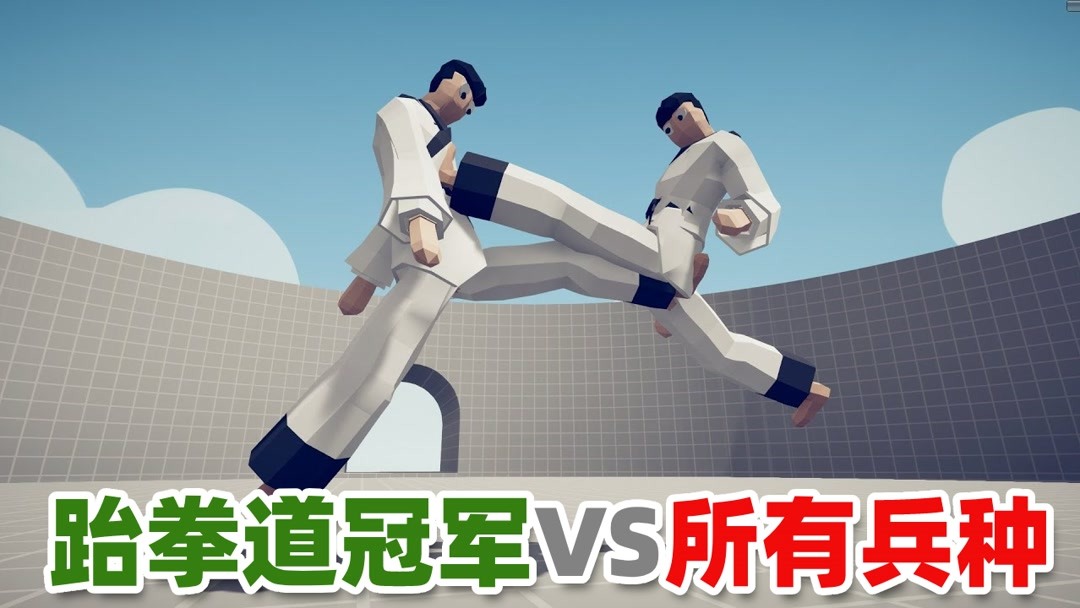 全面战争模拟器:1V1竞技场,跆拳道冠军VS所有兵种!