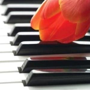 牵着蜗牛去散步 