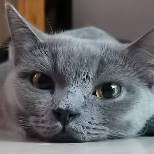 野蛮生长的科学老师 