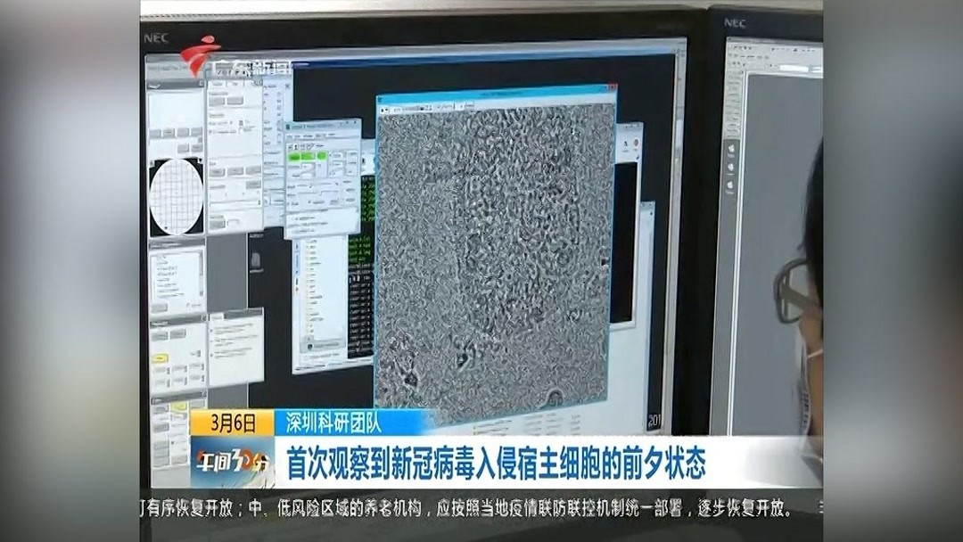 首次观察到新冠病毒入侵宿主细胞的前夕状态