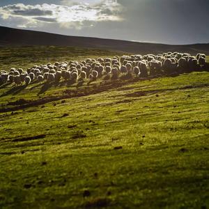 面部提升李海涛教授 