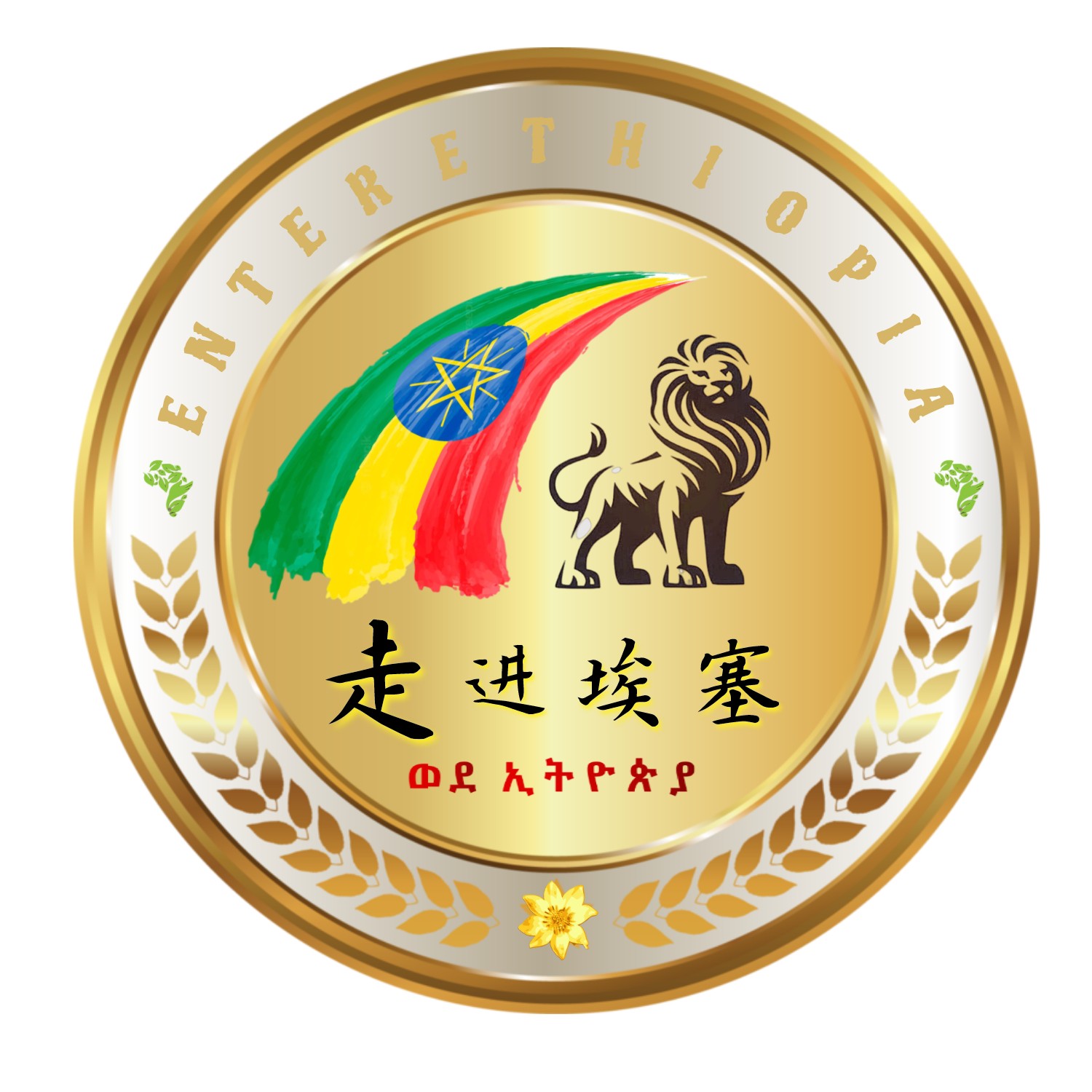 走进埃塞 