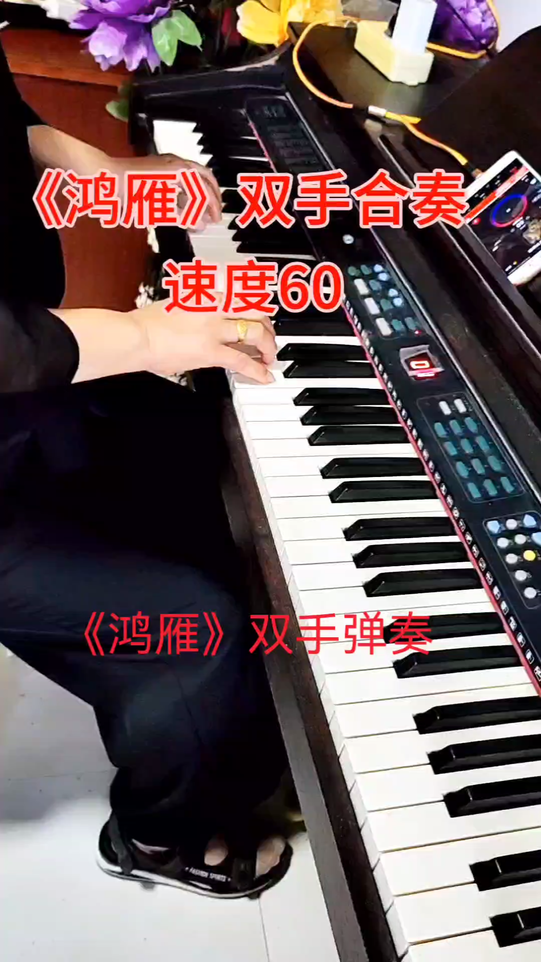 经典老歌《鸿雁》跟随节拍器双手合奏,速度60卓越正版包邮 最爱唱的流.