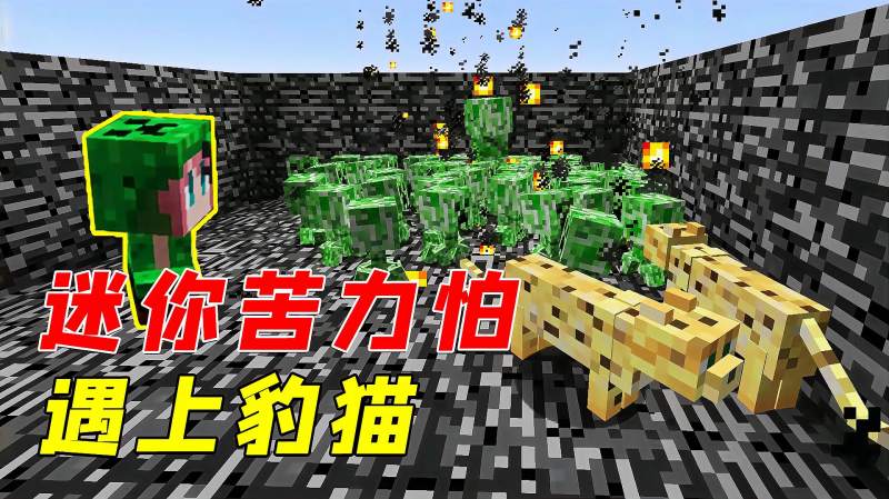 我的世界:当苦力怕儿子遇上豹猫,它会爆炸吗?太搞笑了