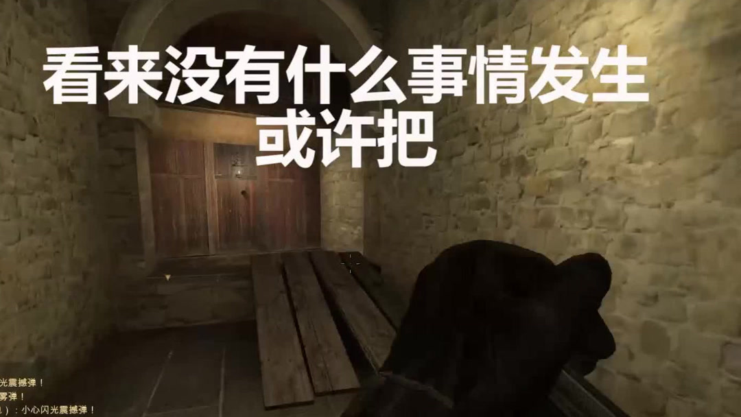 【CSGO】当你买这个武器时,我才意识到我们不一样 -