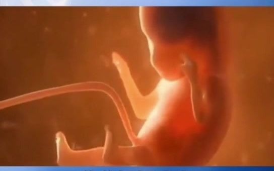 见识一下试管婴儿的全过程吧,看完顿时觉得,孩子来的太不容易了!