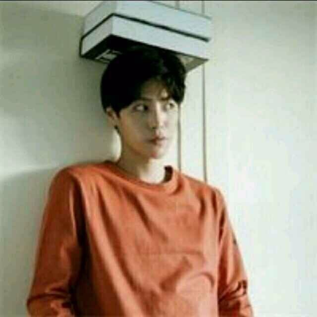 说方言的王子涛