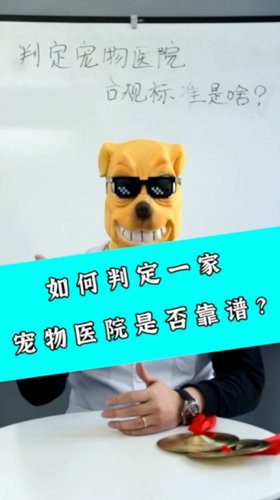 教你选择一家靠谱的宠物医院!