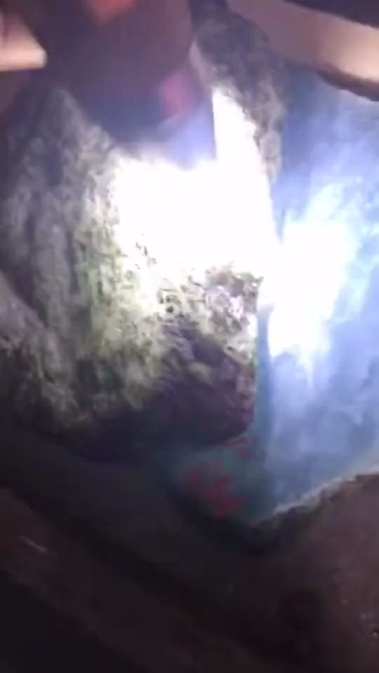 以前拍的一块盈江公盘料,怎么样?