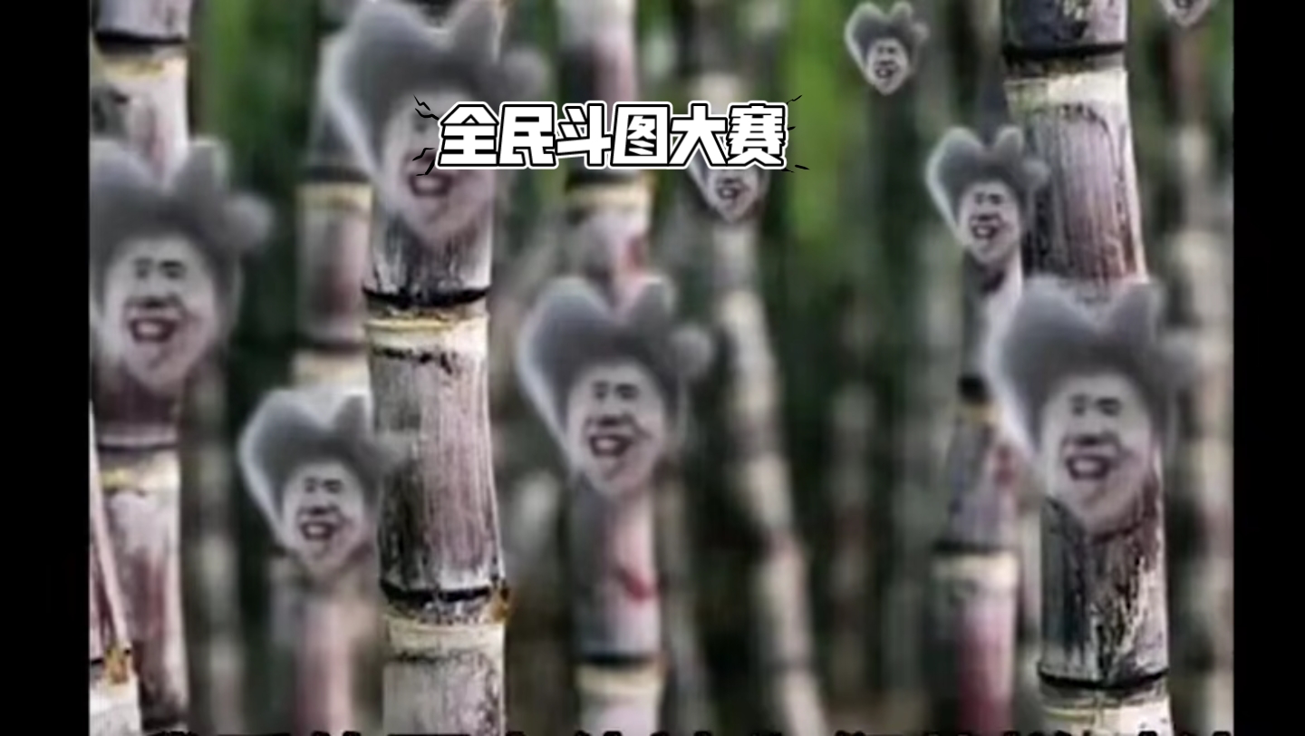 全民斗图大赛:没事别乱发表情包…第97期-1