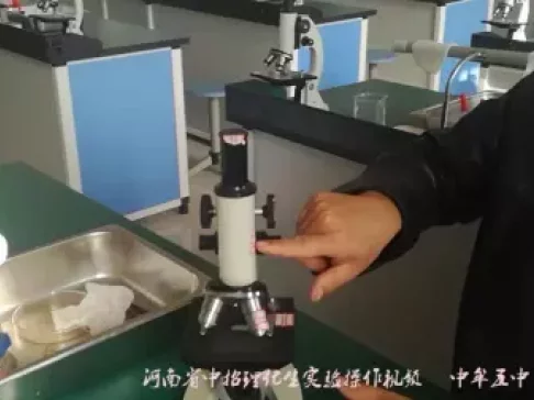 认识显微镜的结构