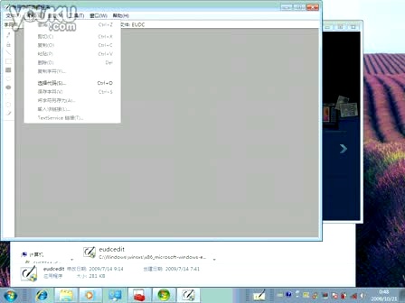 win7版专用字符编辑器