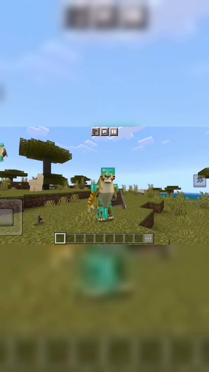 我的世界:这什么皮肤