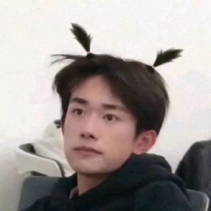 狮子座小丸子 