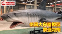 电动机器鲨鱼模型(仿真) - 定制的博物馆海洋动物展品