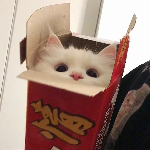 黑小虎y 