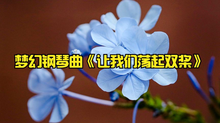 梦幻钢琴曲《让我们荡起双桨》 今宵酒醒何处?杨柳岸,晓风残月。