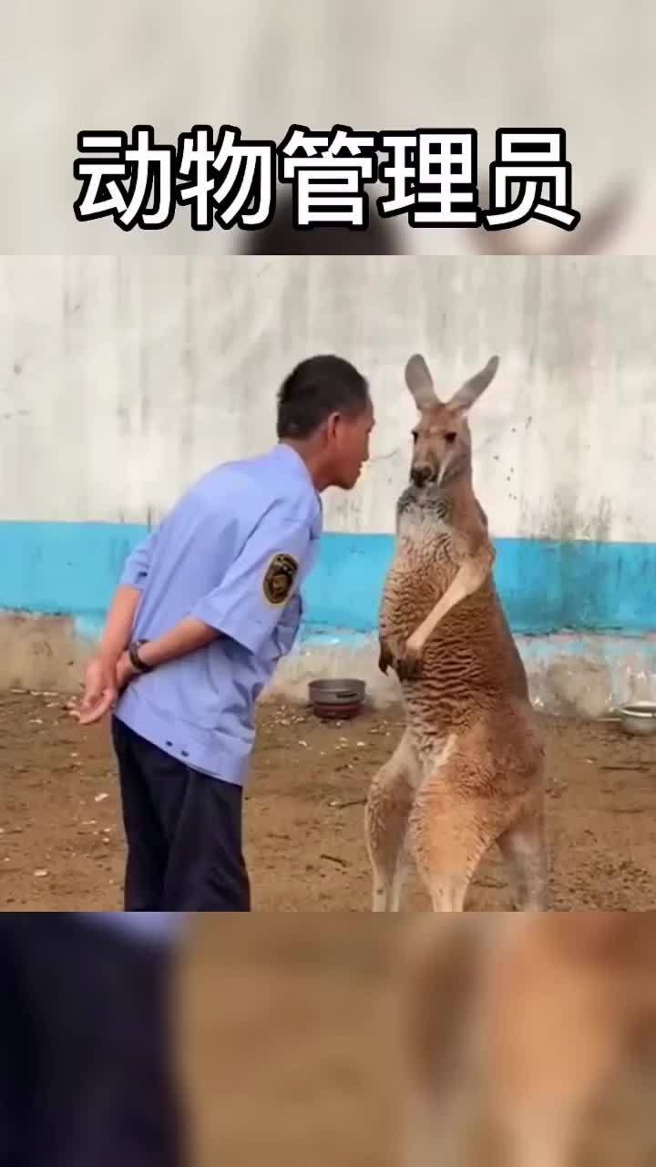 不可能完成的任务#搞笑