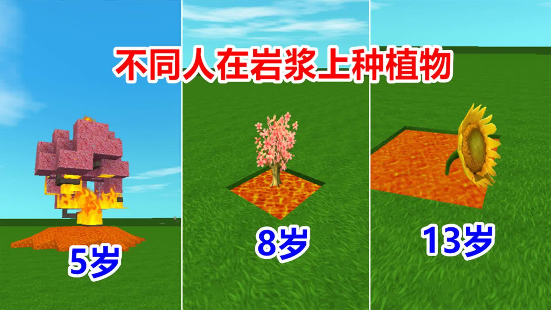 迷你世界:不同年龄的人在岩浆上种植物,13岁的居然能种出向日葵