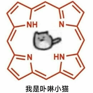 卟啉君 