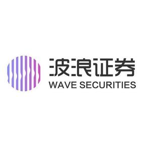 波浪证券 