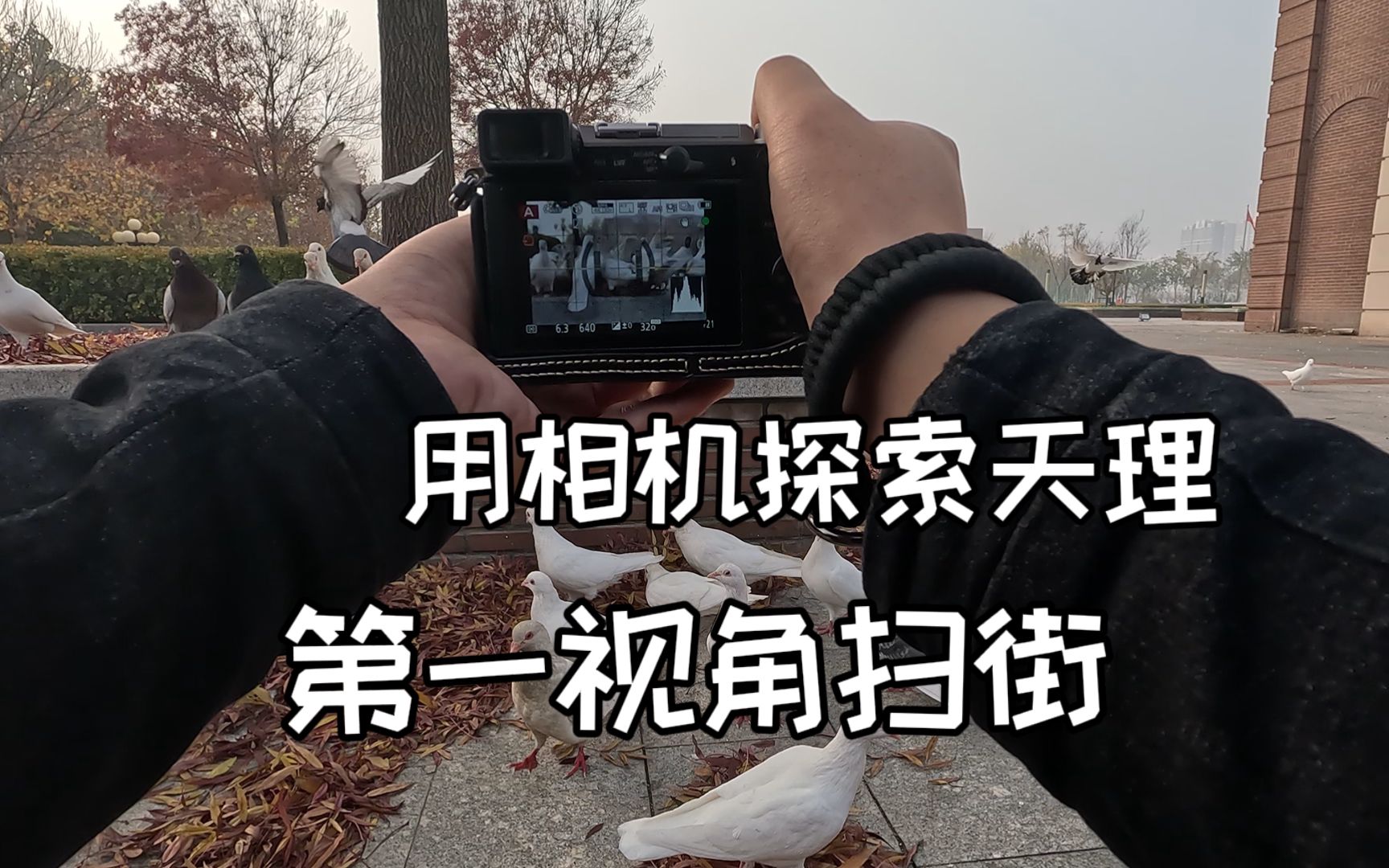用相机探索天理 |第一人称摄影Vlog|松下gx9【站墙角的豚鼠】
