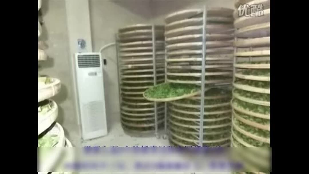 茶叶制作流程