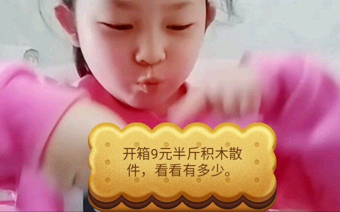 开箱,拼多多,这次特意买了些积木散件,没有图纸自由发挥。半斤9块9。