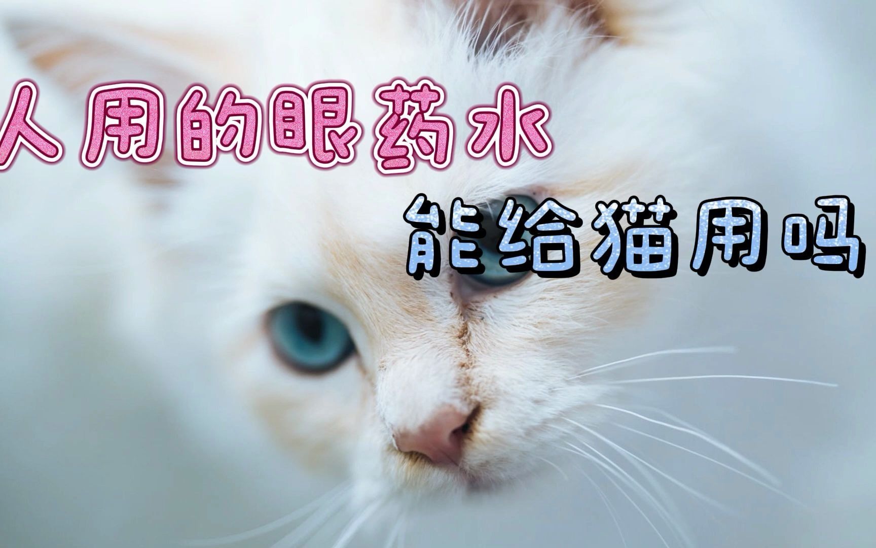 人用的眼药水能给猫用吗