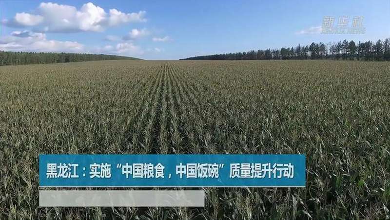 黑龙江:实施“中国粮食,中国饭碗”质量提升行动