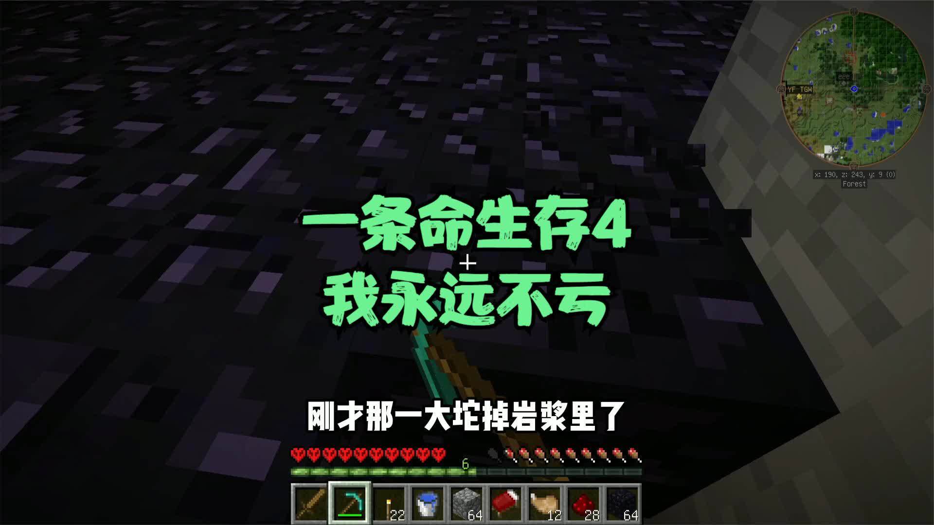 叶枫我的世界:一条命生存4我永远不亏