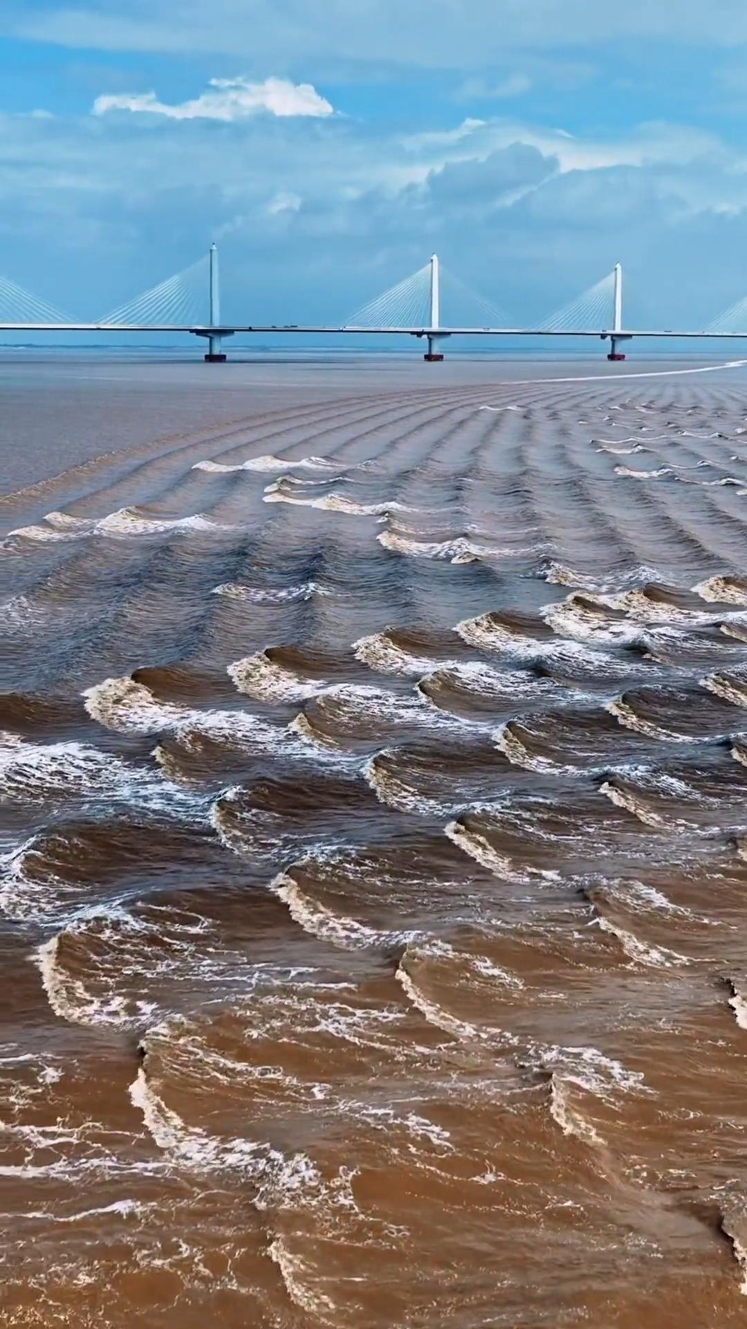 钱塘江一年一度的大潮,汹涌澎湃,十分壮观