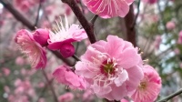 《细菌世界历险记》之菌儿的生活