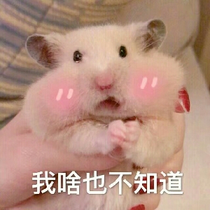 炸了的呆毛 