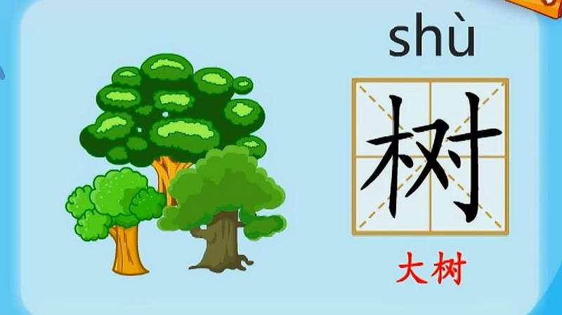 亲宝识字:学习汉字树的拼音组词笔画笔顺写法