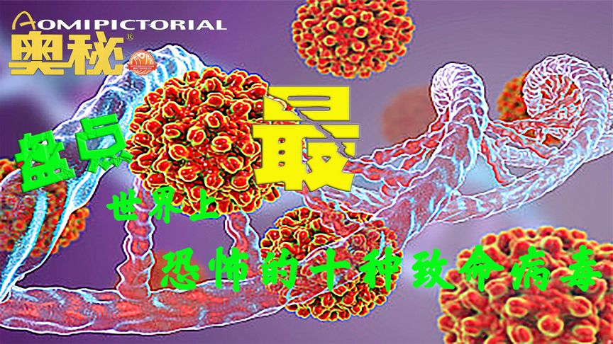 盘点全世界最致命的十种病毒真面目 最后一种最美最危险