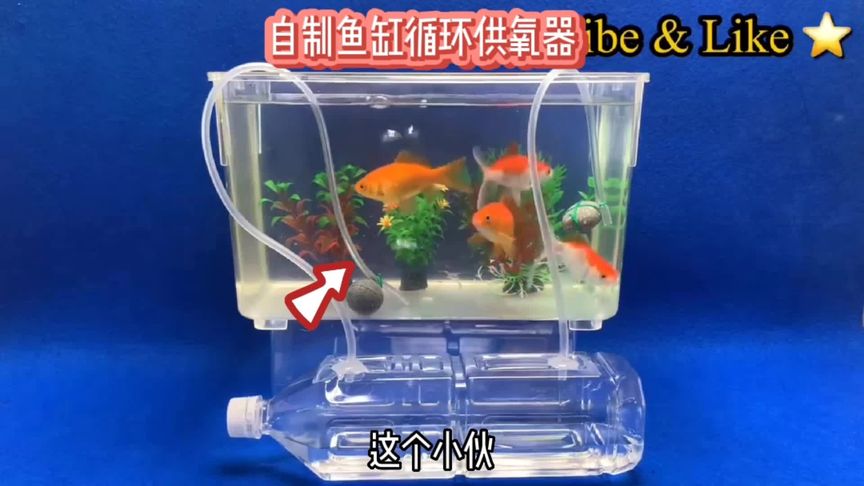 利用塑料瓶,制作自动水循环供氧系统,不需要水泵和电