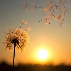 走四方我心飞翔 