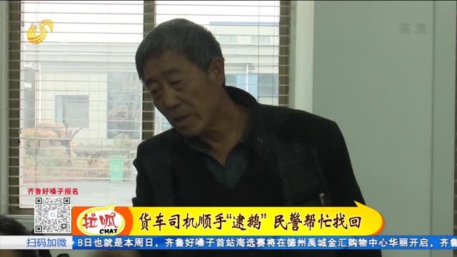 司机顺手牵鹅 民警按图索鹅 好一出寻鹅记