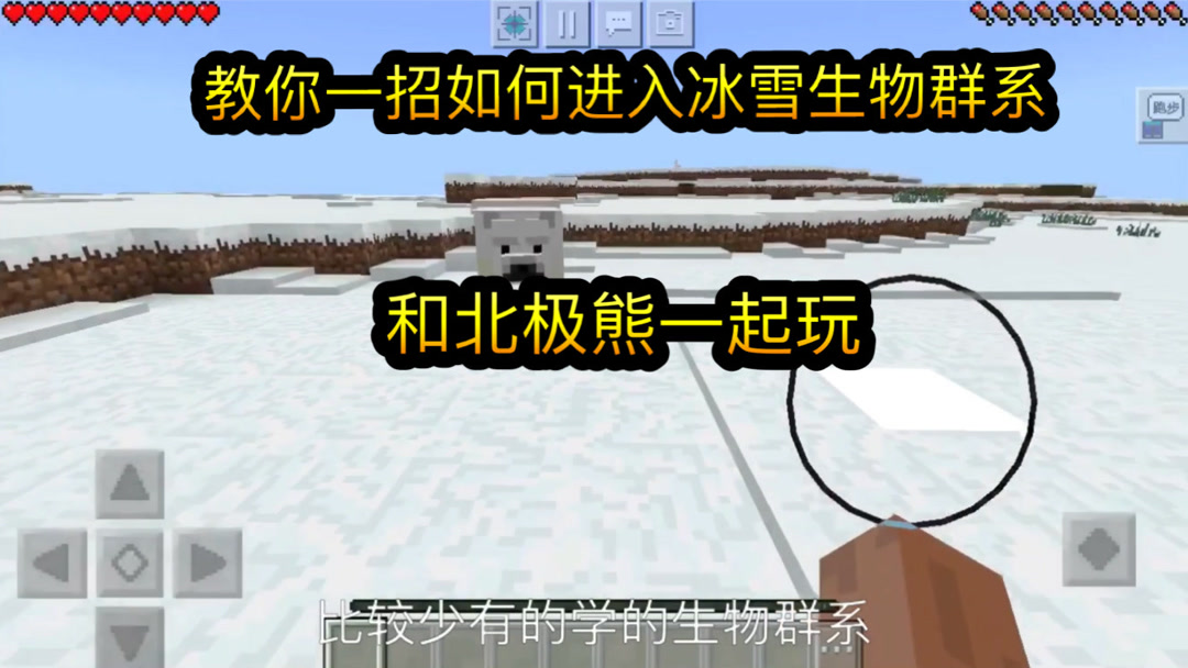 我的世界:教你一招如何进入冰雪生物群系,和北极熊一起玩