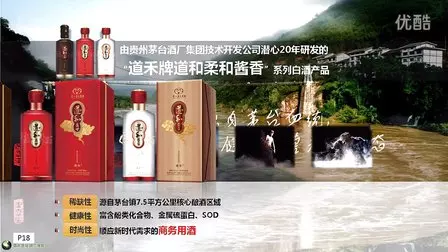 广州PPT设计制作案例