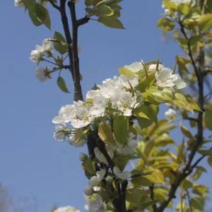 那人那事那情lcy 