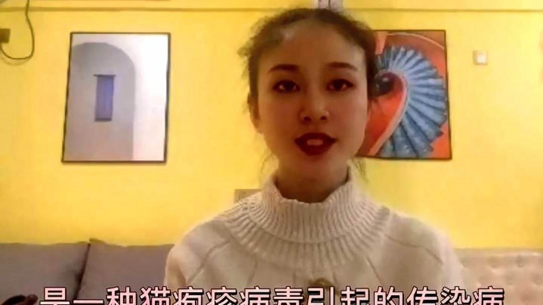 为什么会得猫鼻支