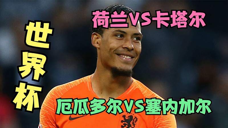 《2022卡塔尔世界杯解析》33厄瓜多尔VS塞内加尔,卡塔尔VS荷兰