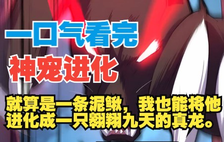 一口气看完《神宠进化》:就算是一条泥鳅,我也能将他进化成一只翱翔...