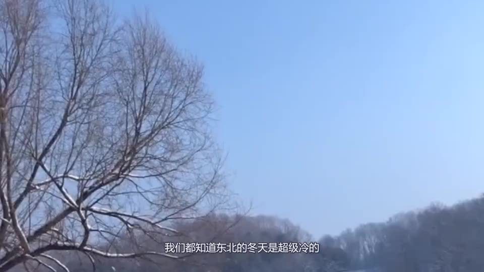 东北人都喜欢睡大炕,一家人都在一个炕上睡