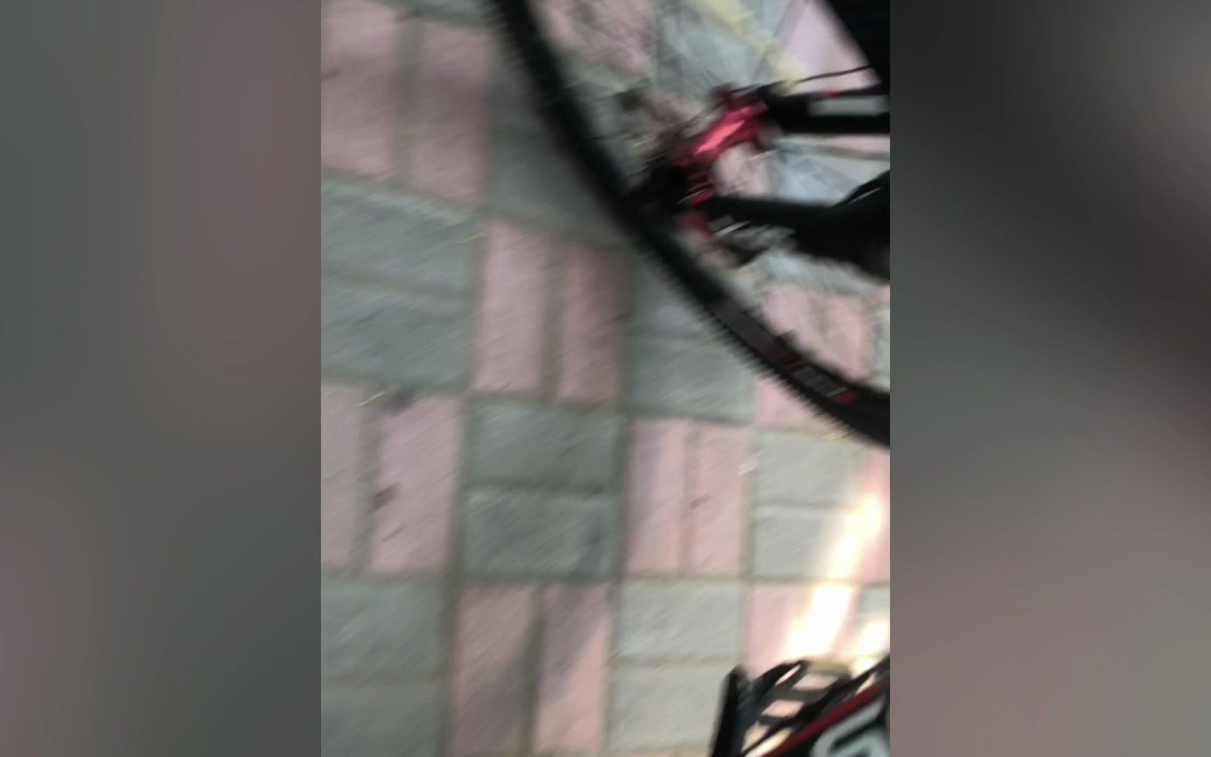 自行车喜德盛英雄380通勤车