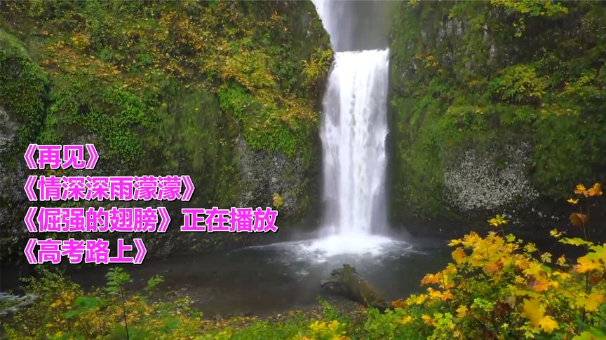 《再见》《情深深雨濛濛》《倔强的翅膀》《高考路上》