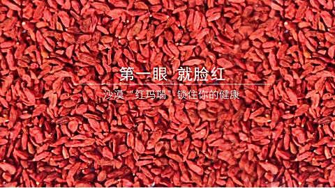 寻味新疆五款动画合辑视频高清-带片头版(2)