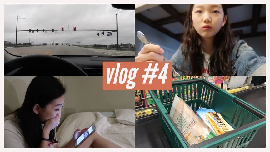 美国女学生的一天VLOG!(做做料理,追追星)